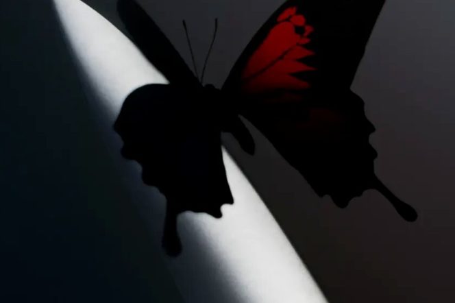 Post Malone “Boy Bandz” Video | HWING